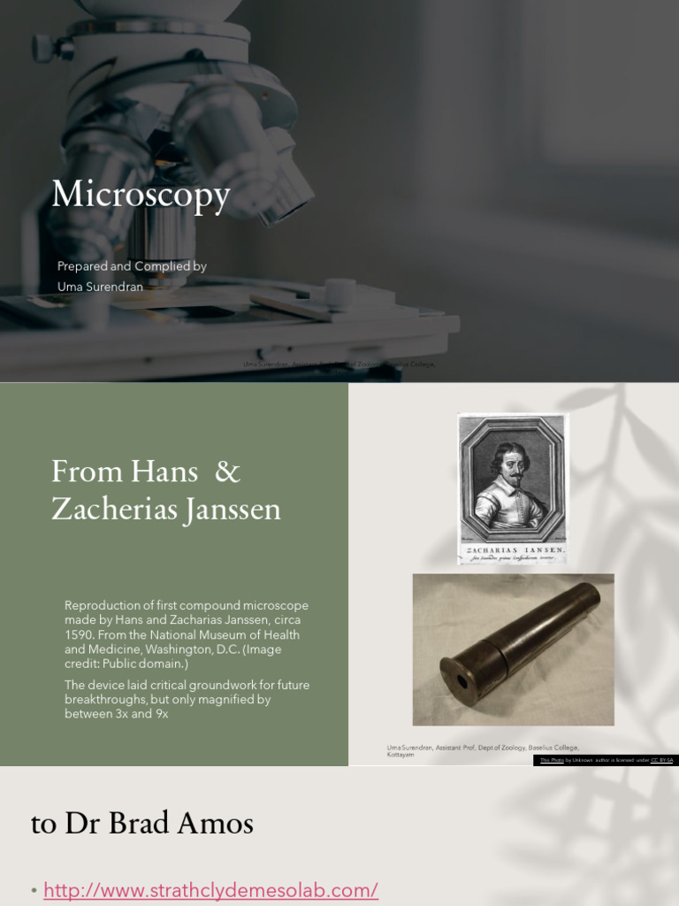 Microscopy | Download Free PDF | Scanning Electron Microscope | Electron Microscope