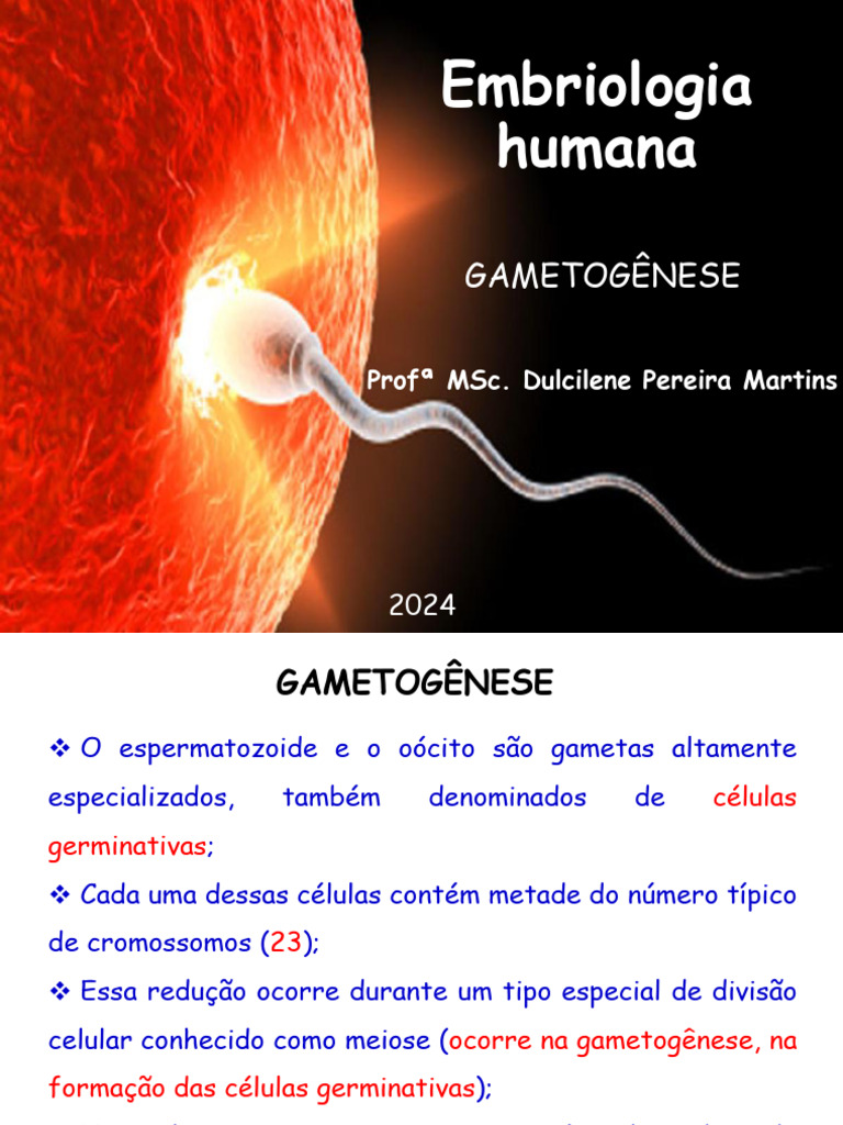 UNIDADE IV - Embriologia Humana - Gametogênese - Fecundação e Clivagem ...