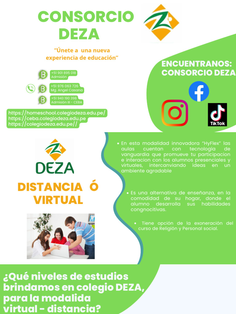 Virtual Dist Ebr y Ceba Deza | PDF | Educación primaria | Maestros