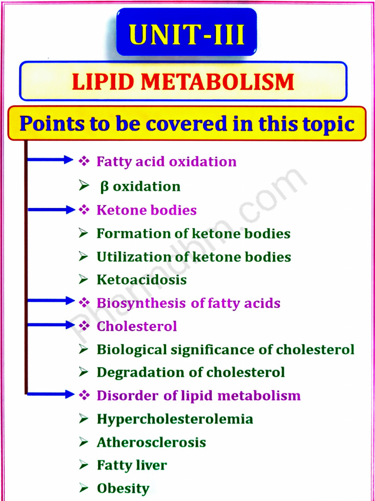 Biochemistry Unit 3 | PDF