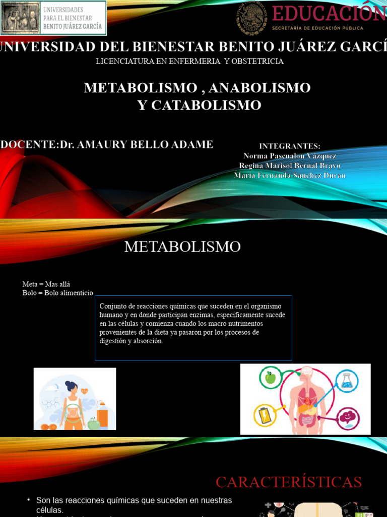 Metabolismo Catabolismo y Anabolismo-1 | PDF | Glucólisis | Metabolismo