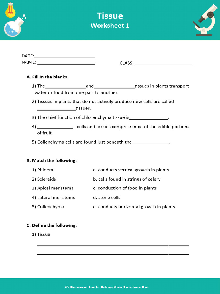 Tissue QP 1 | PDF | Science & Mathematics