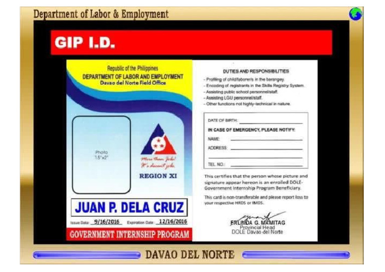 Dole Government Internship Program Gip 10 638 | PDF