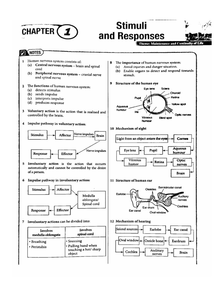 Form 3 Chapter 1 Revision | PDF
