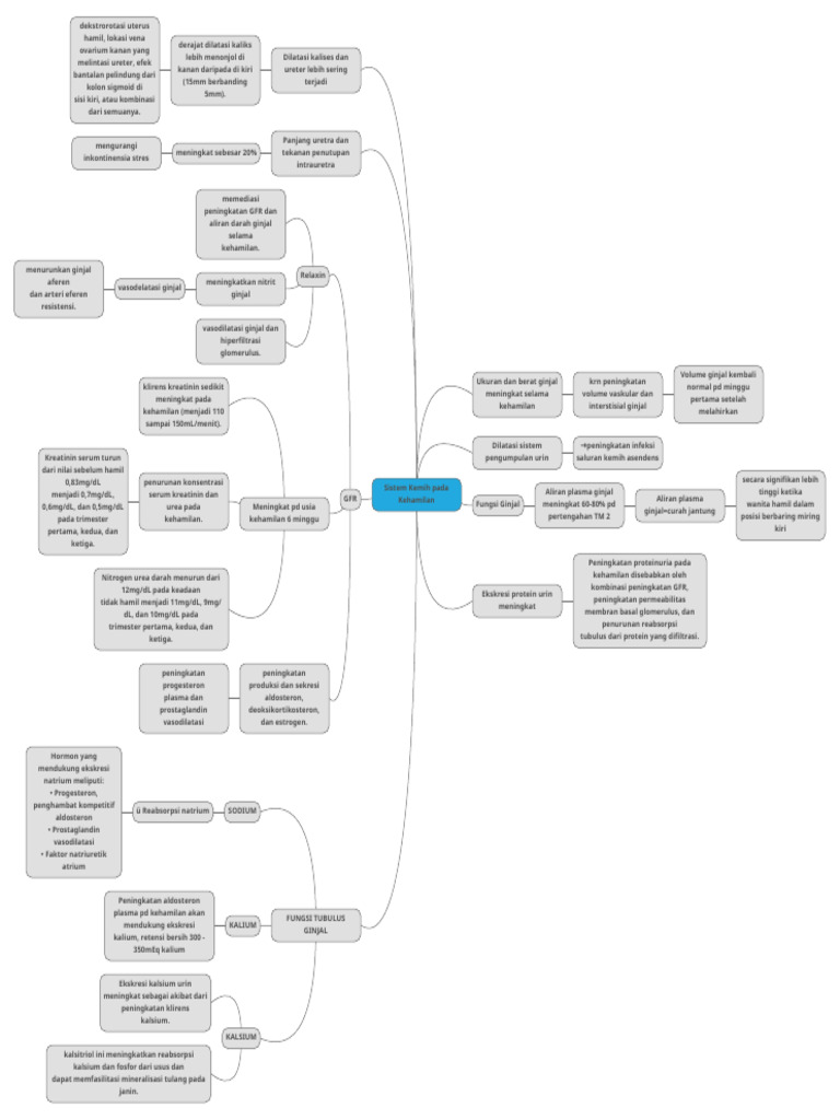 Mind Map Sistem Kemih | PDF