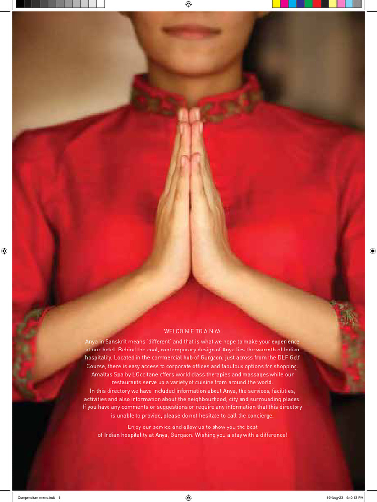 Compendium & IRD menu | PDF