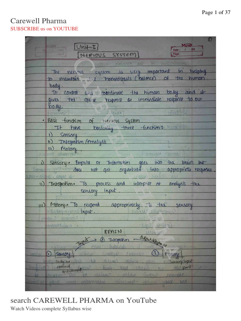 Nervous System, HAP-2, Carewell Pharma | PDF | Neuroanatomy | Tissue ...