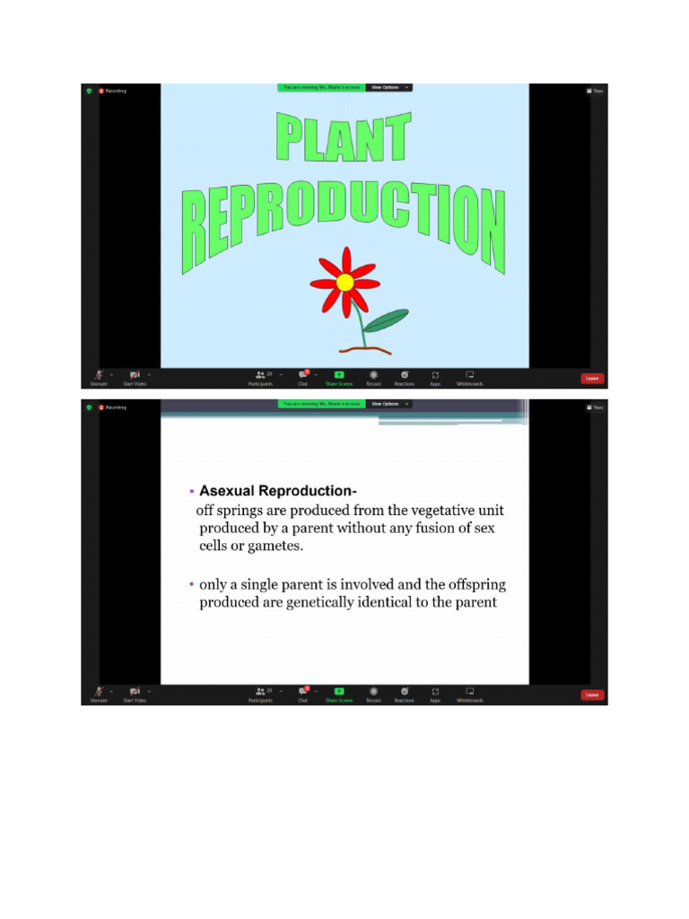 Plant Reproduction | PDF