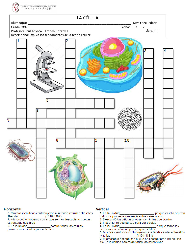 Crucigrama La Teoría Celular | PDF