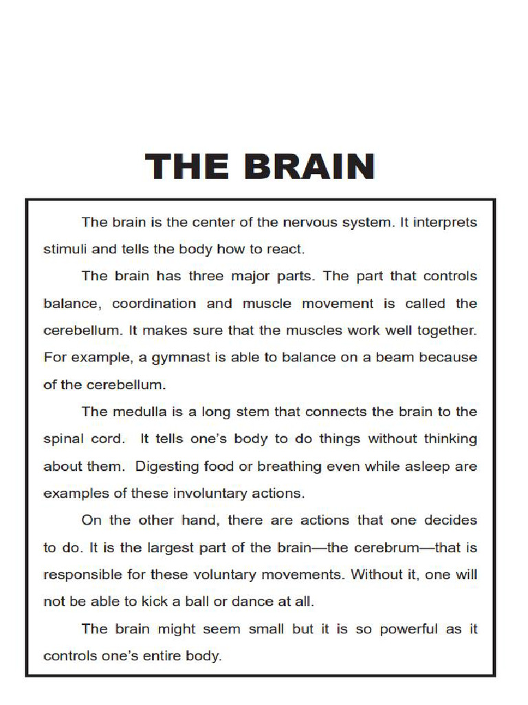 Reading Materials English JHS | PDF