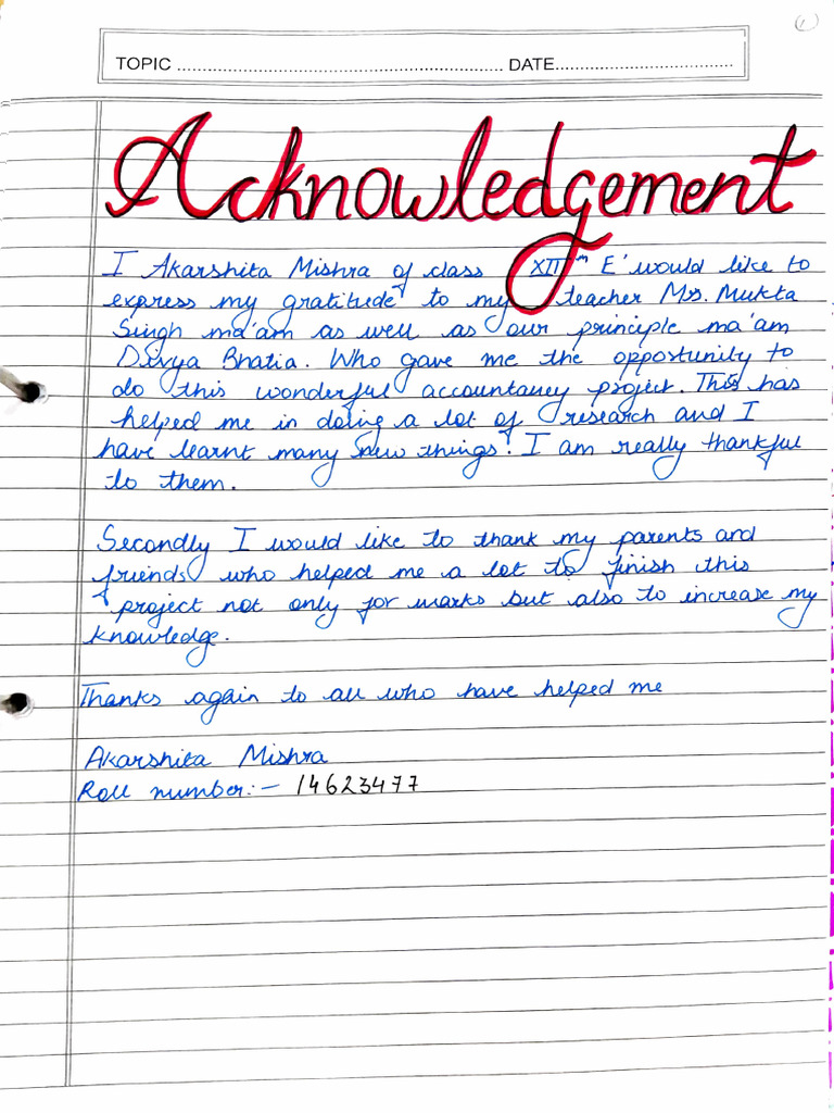 Accountancy Project 23-24 Sample | PDF