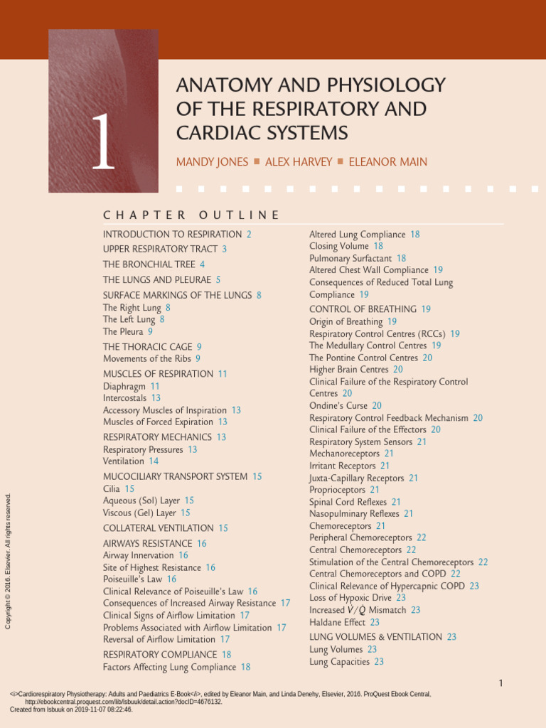 Cardiorespiratory Physiotherapy Adults and Paediat... - (1 Anatomy and ...