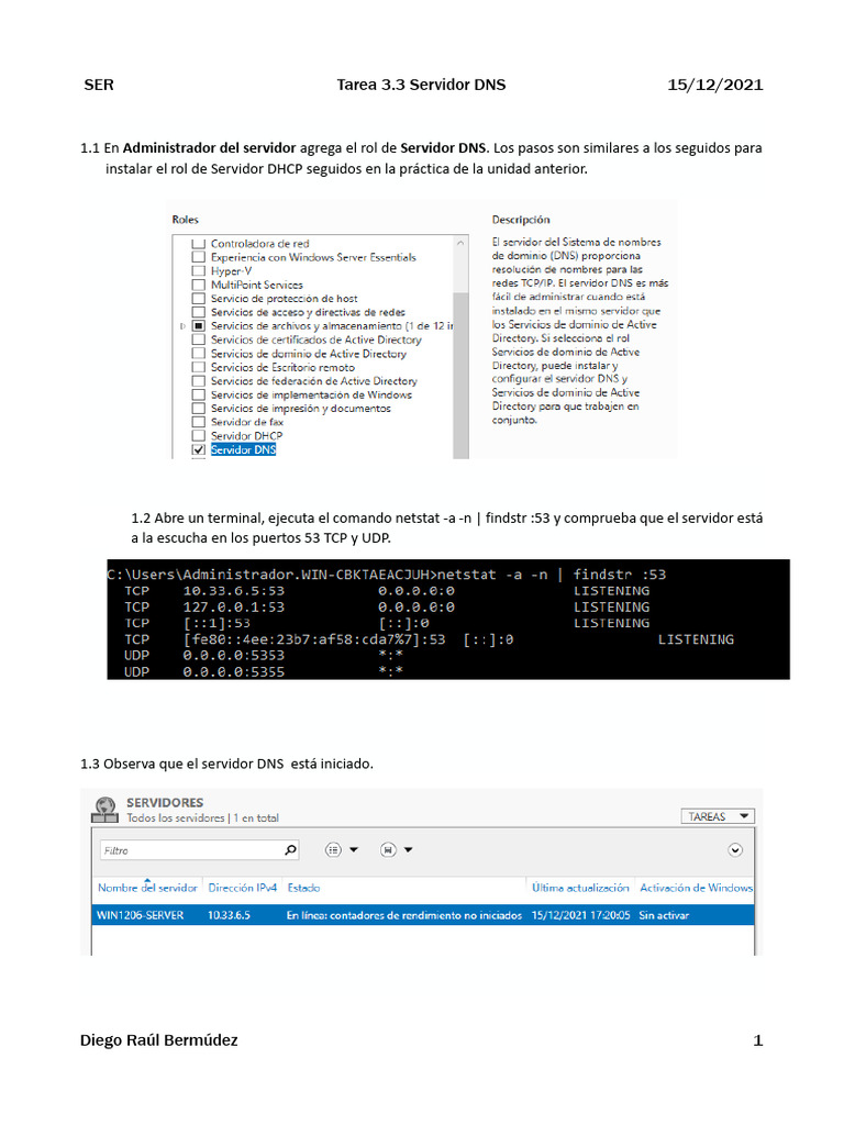 Tarea 3.3 Servidor DNS - Diego Bermudez | PDF | sistema de nombres de dominio | Red de área amplia