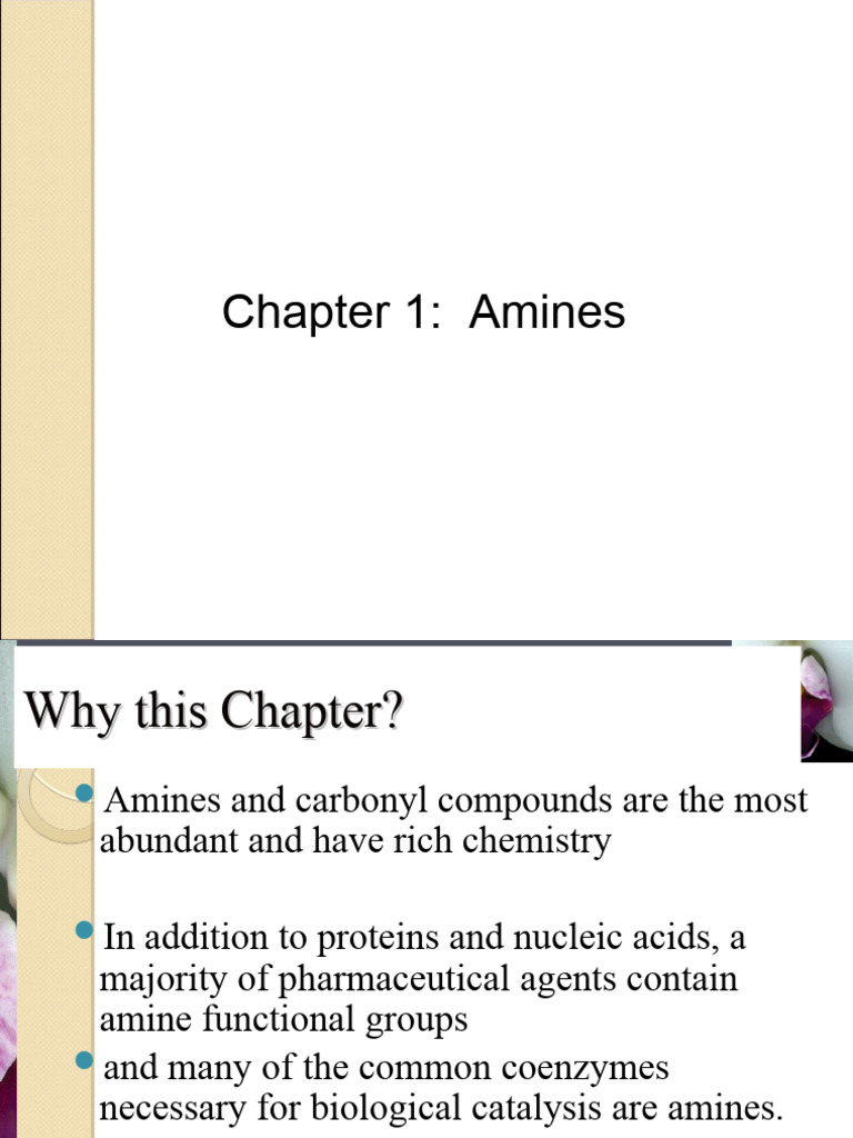 Chapter 1: Amines | PDF | Amine | Chemical Reactions