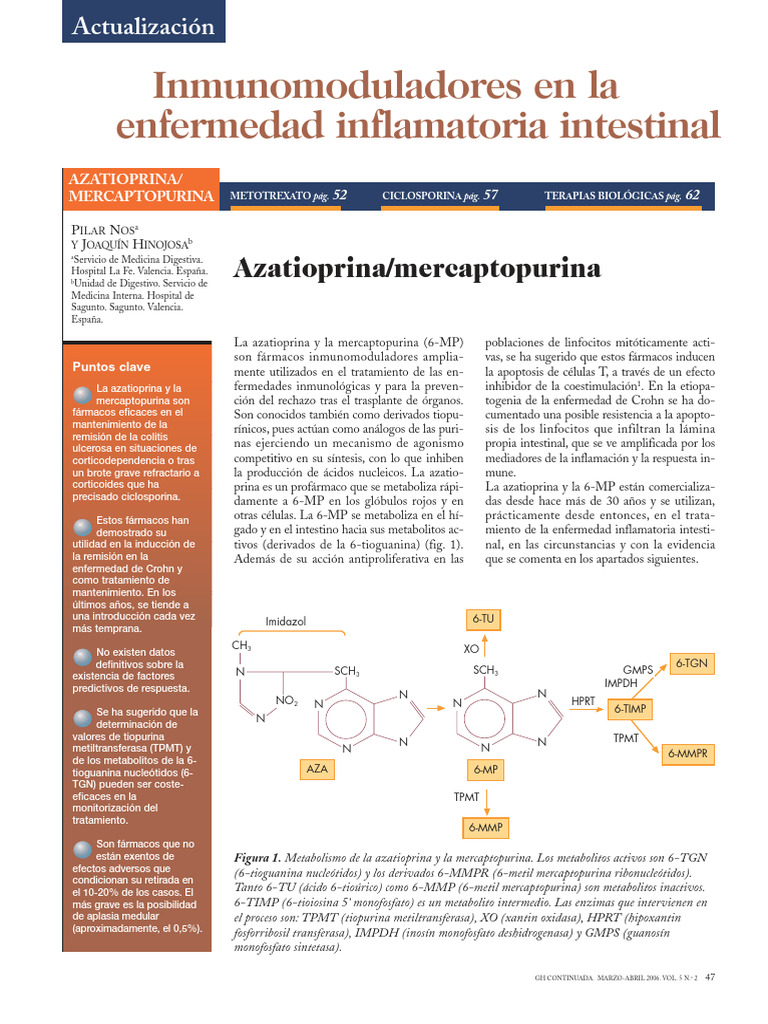 Inmunomoduladores en La Enfermedad Inflamatoria Intestinal | PDF ...