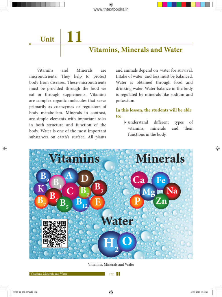 Vitamins Explanation Download Free Pdf Vitamin A Vitamin D