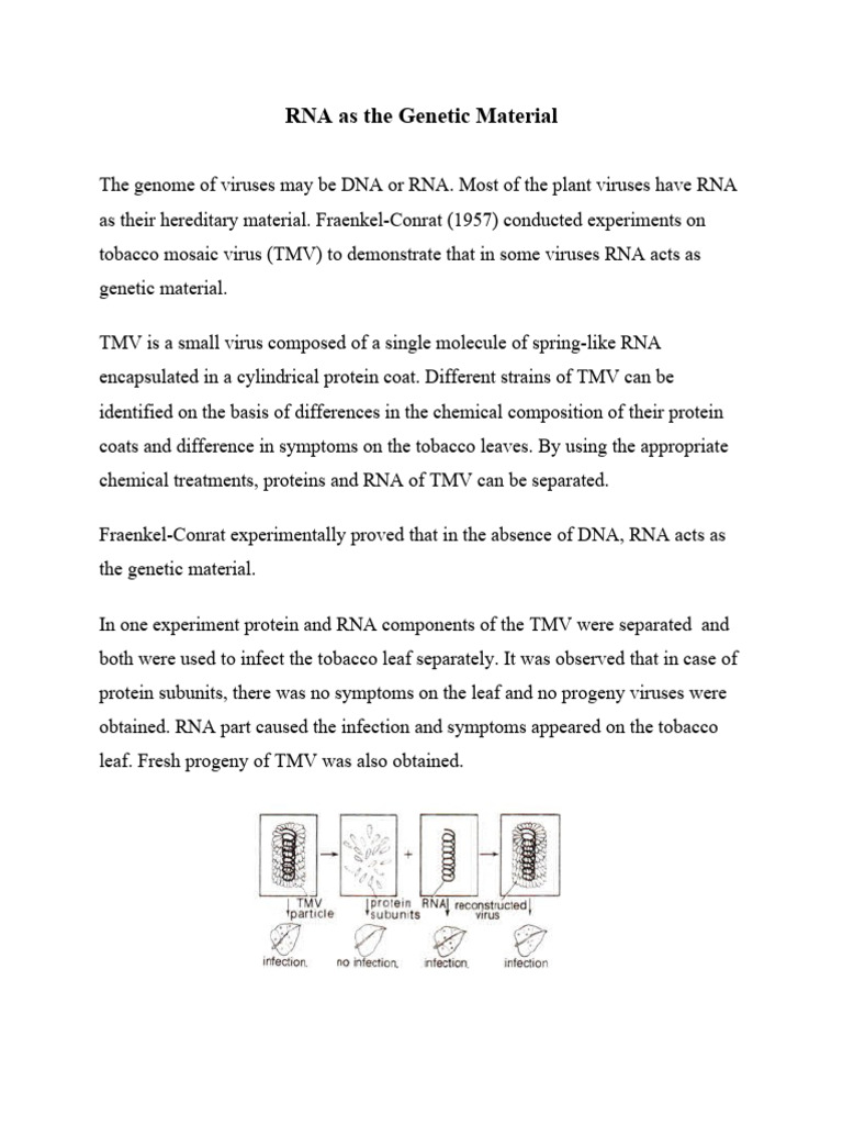 RNA As Genetic Material | PDF