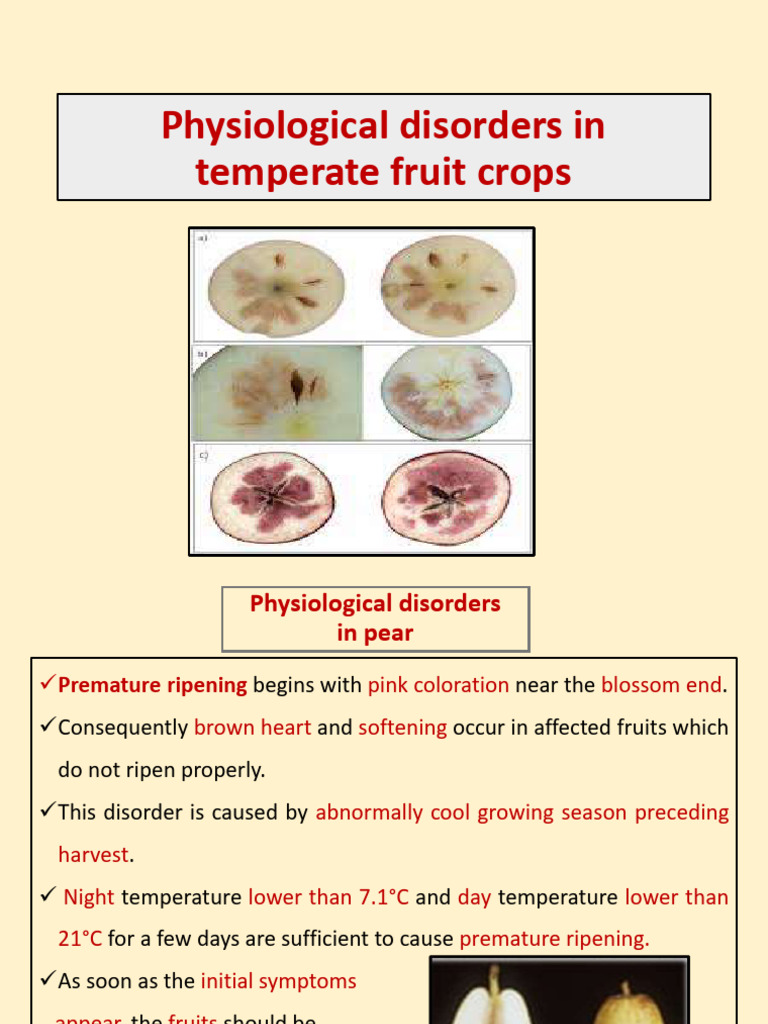 Physiological Disorders in Temperate Fruits | PDF
