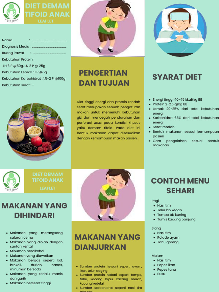 Leaflet Demam Tifoid Anak | PDF