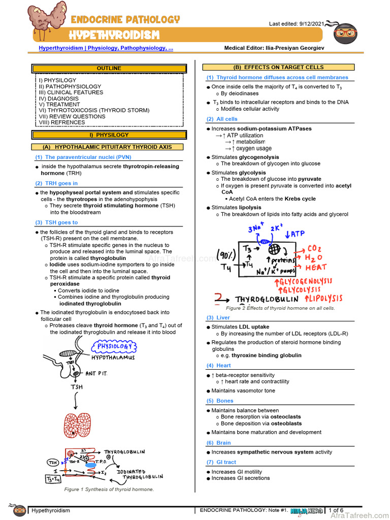 Hyperthyroidism Physiology, Pathophysiology, Diagnosis, Treatment ...