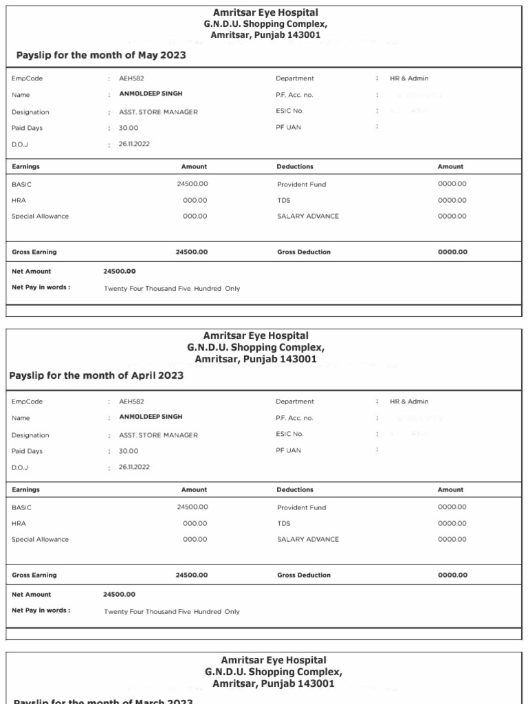 Salary Slips | PDF | Paycheck | Employment Compensation