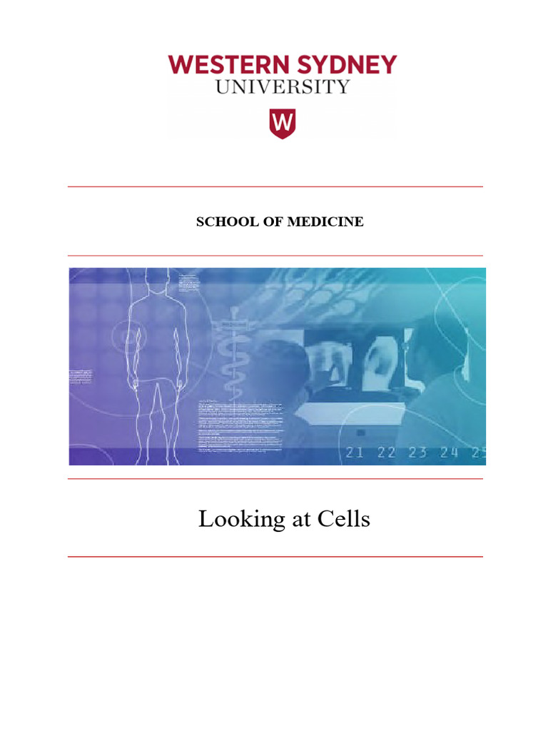 Looking at Cells - 2020 | PDF | Endoplasmic Reticulum | Microscopy