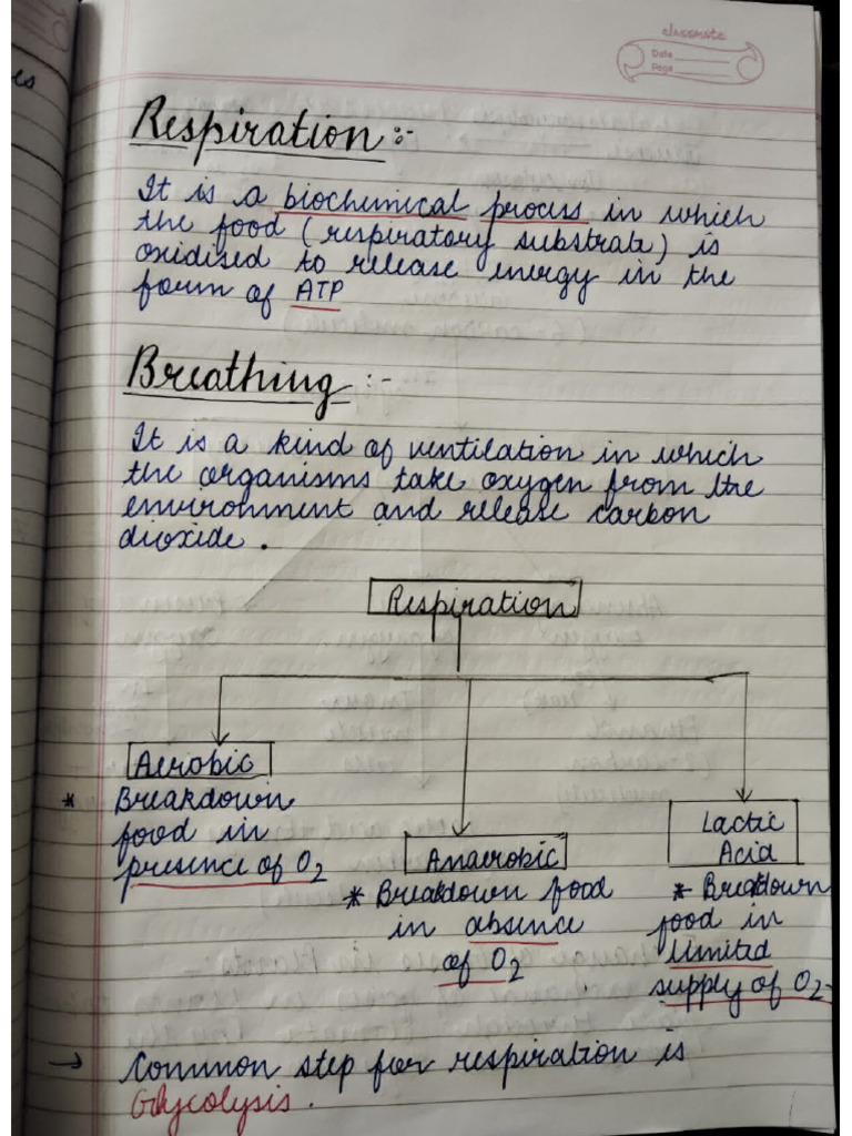 CH Life Processes... (Respiration) | PDF