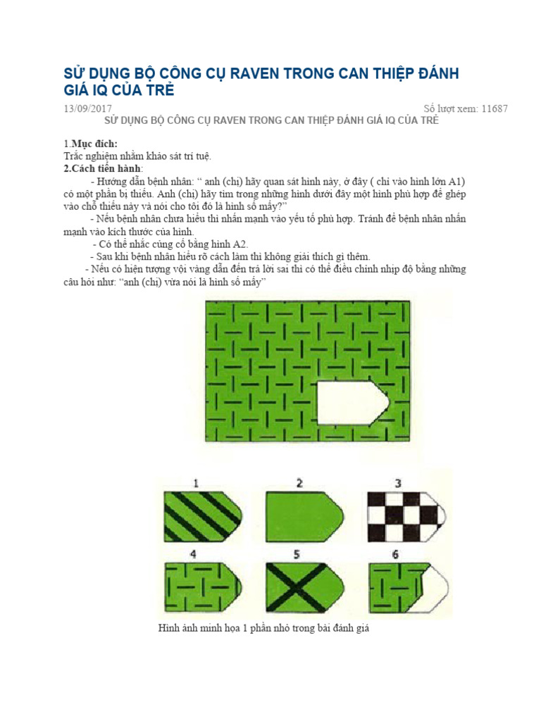 Sử Dụng Bộ Công Cụ Raven Trong Can Thiệp Đánh Giá Iq Của Trẻ | PDF