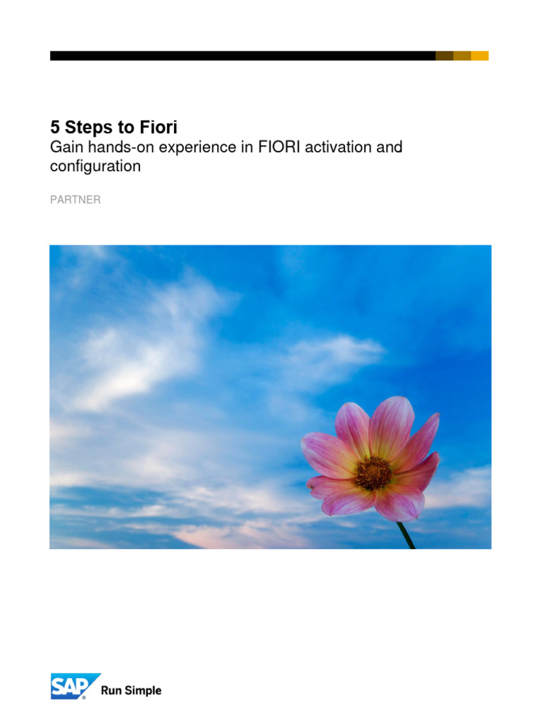 WP01 ACT Fiori Basic Activation 1909 | PDF | Icon (Computing) | Analytics