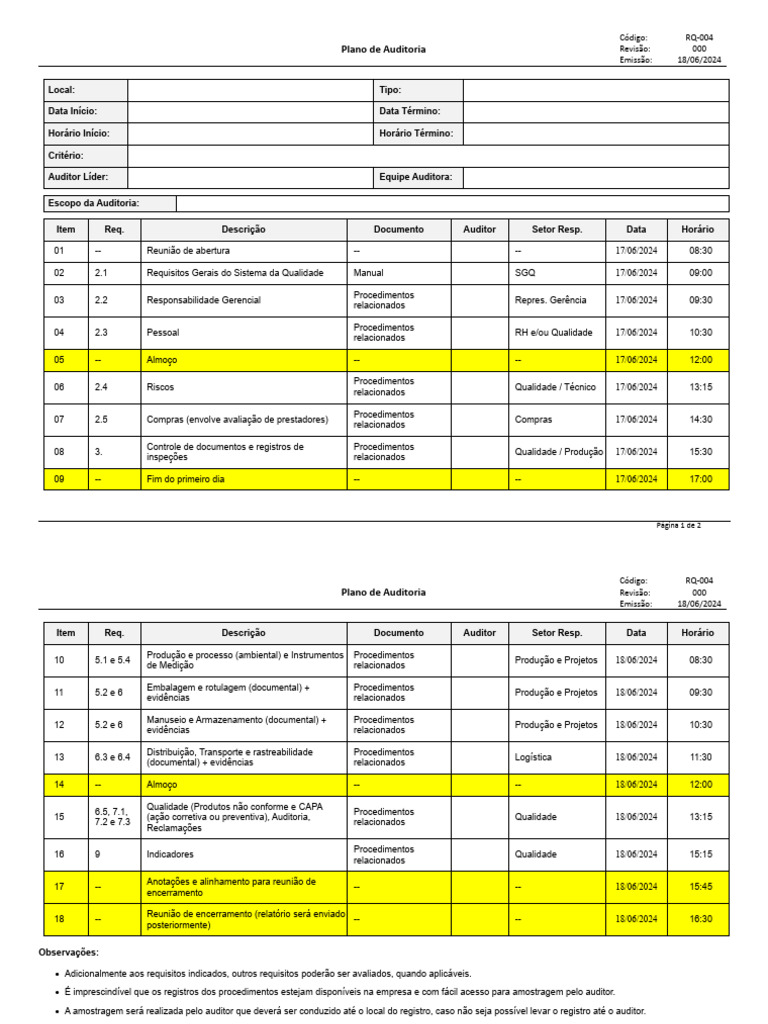 Plano de Auditoria Thayara | PDF