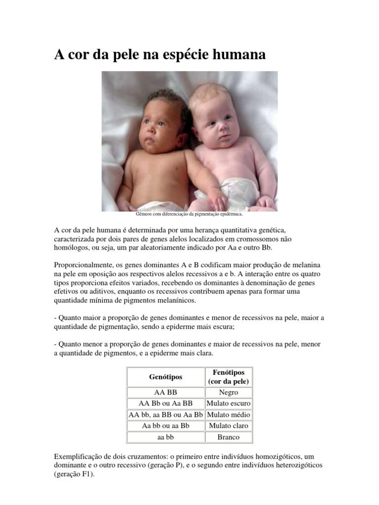 Herança Genética da Cor da Pele | PDF | Dominância (genética) | Alelo