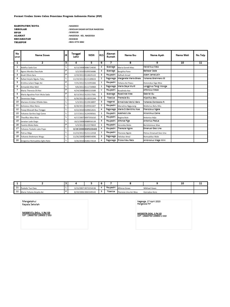 Format Usulan PIP 2020 | PDF