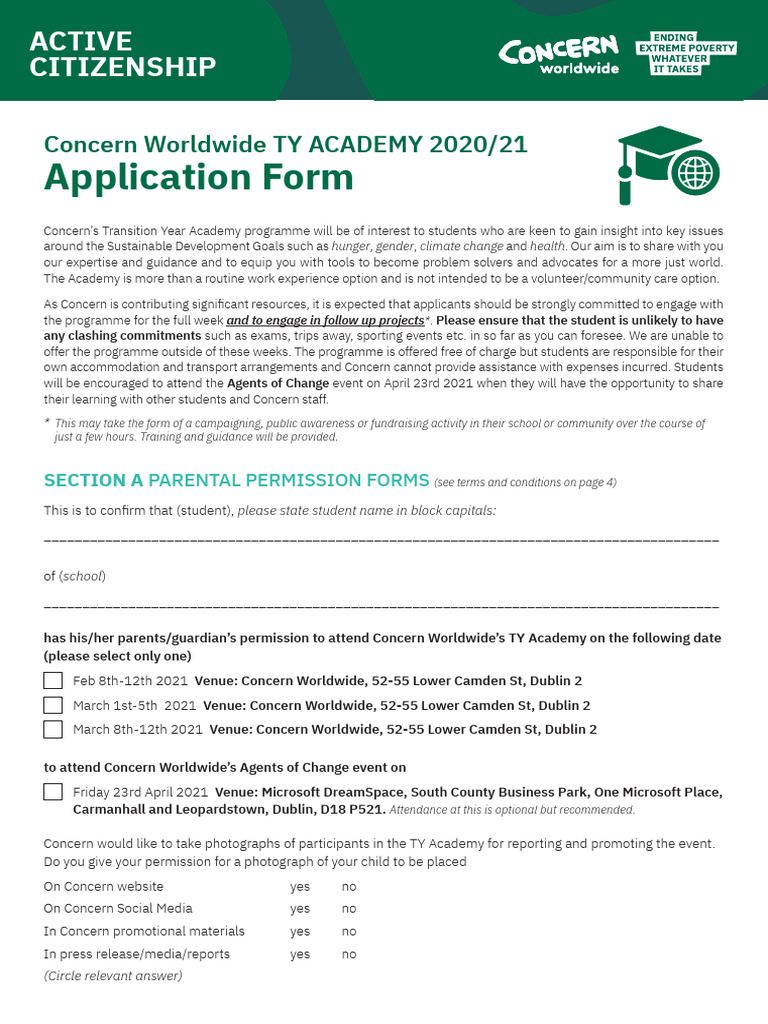 TY Academy Application Form | PDF