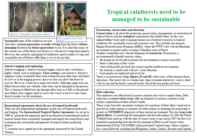 7 Sustainable Rainforest Strategies Fact Sheet | Download Free PDF ...