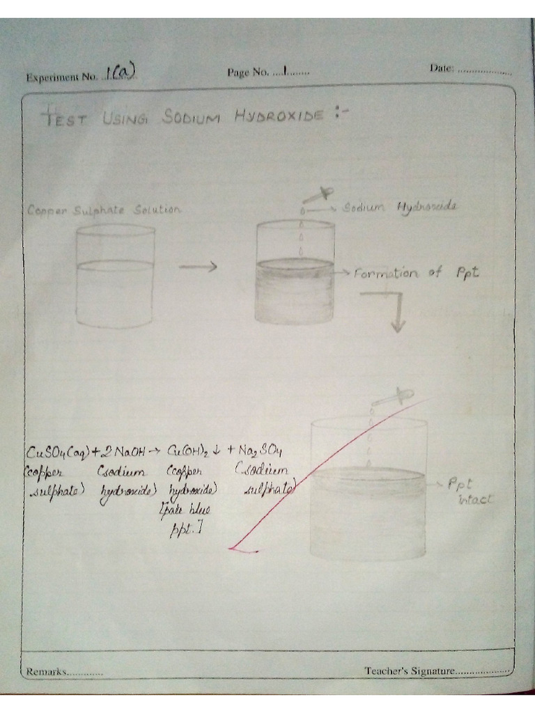 Document From Debapriya Chatterjee | PDF