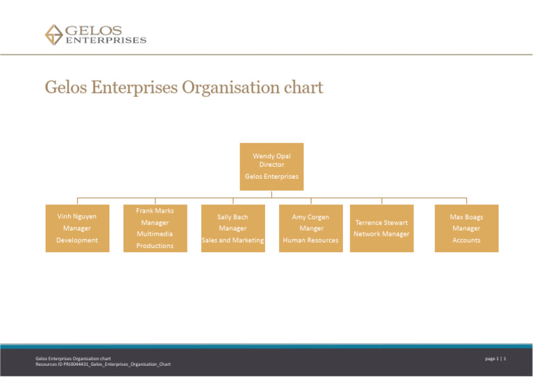Gelos Enterprises Organizational Chart | PDF