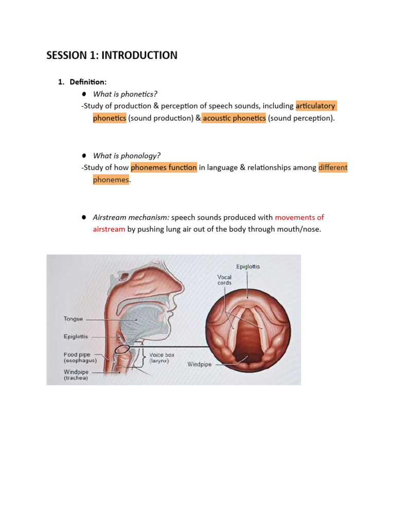 Am VI Hoc Tong Hop Ly Thuyet Chuyen Nganh Ngon Ngu Anh | PDF | Stress ...