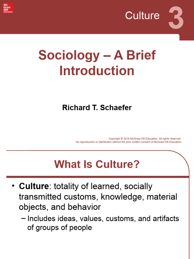 Sociology Chapter 3 - Culture | PDF | Society | Nonverbal Communication