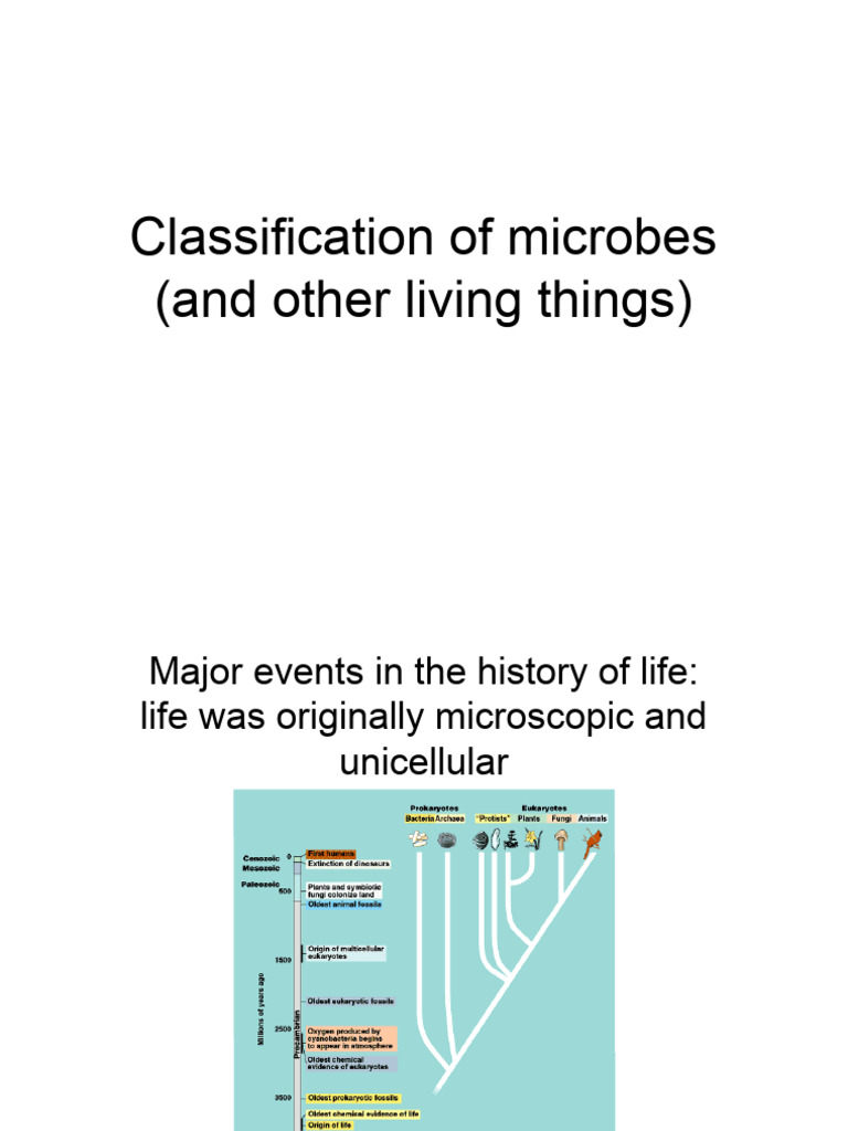 Classification of Microbes (and Other Living Things | PDF | Bacteria ...