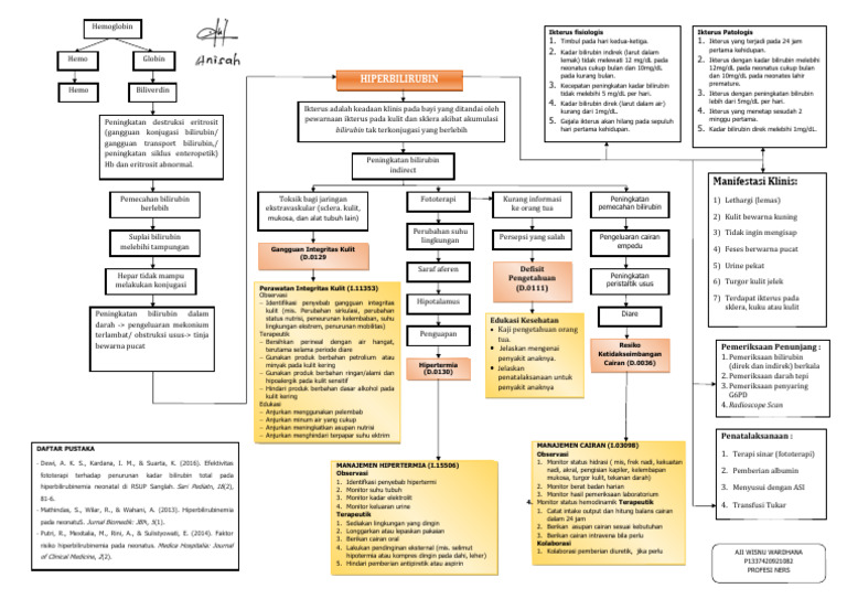 Woc Hiperbilirubin 1 | PDF