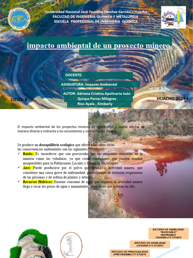 Impacto Ambiental en Proyectos Mineros | PDF | Minería | Contaminación