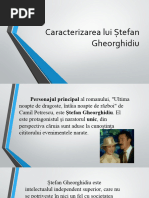 Caracterizare Stefan Gheroghidiu | PDF