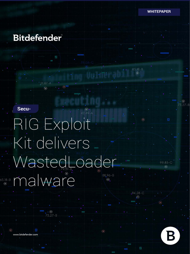 RIG Exploit Kit Delivers WastedLoader Malware BitDefender 2021 | PDF ...