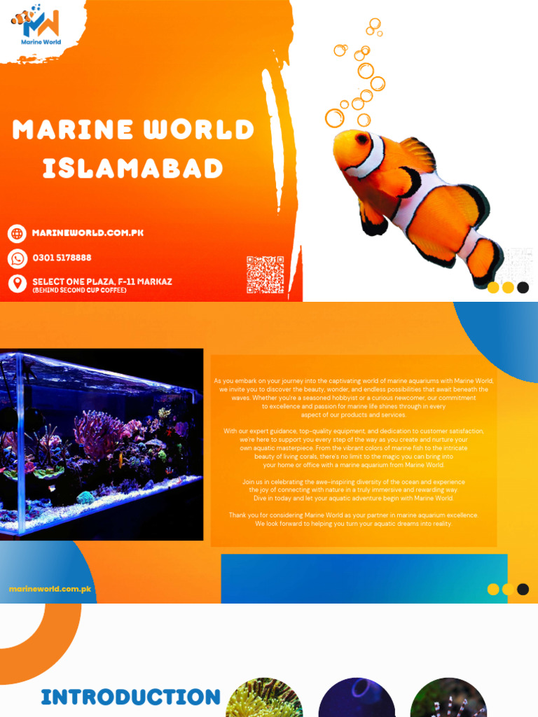 MarineWorld Brochure | PDF | Aquarium | Coral Reef