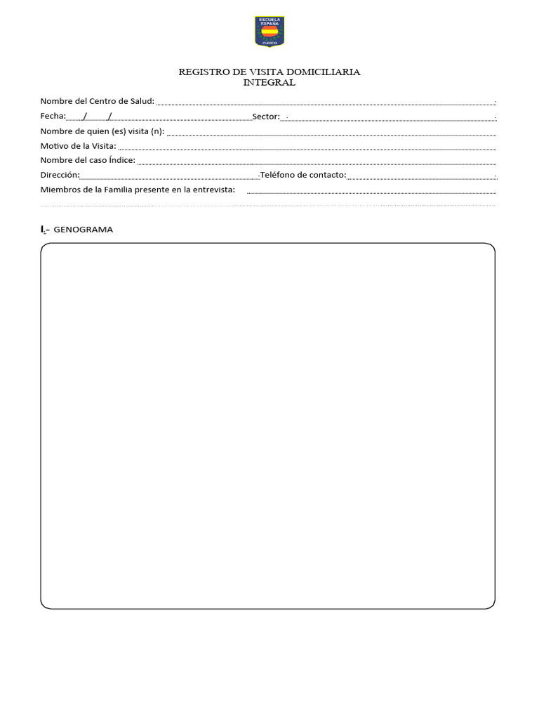 Registro de Visita Domiciliaria Integral | PDF