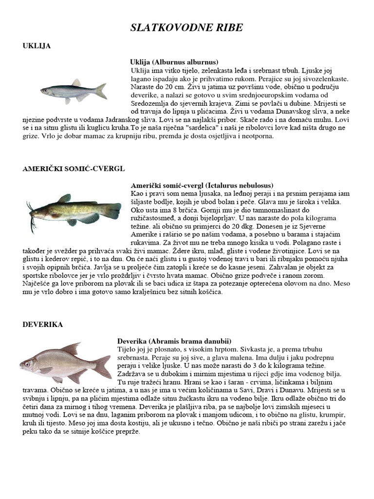 Slatkovodne Ribe | PDF