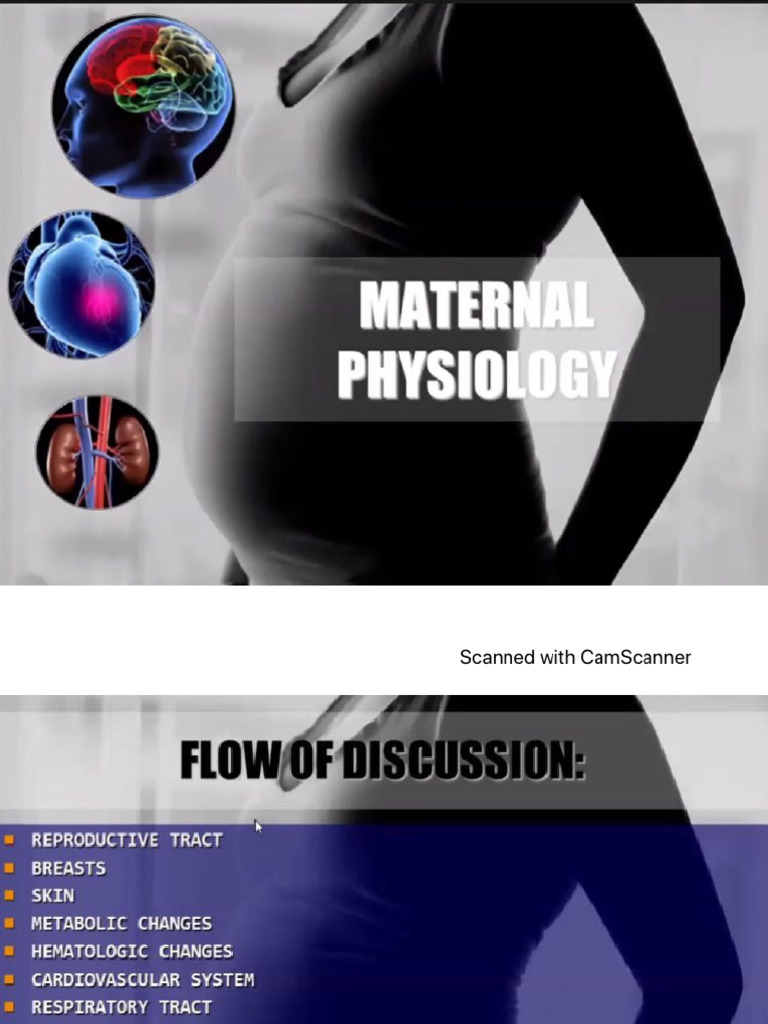2prelim 2 - Maternal Physiology | PDF