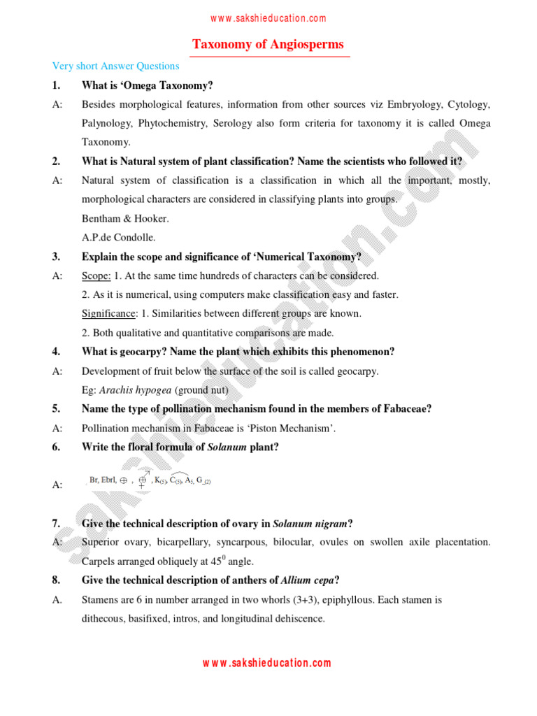 Angiosperm Taxonomy Overview and Insights | PDF | Leaf | Flowers