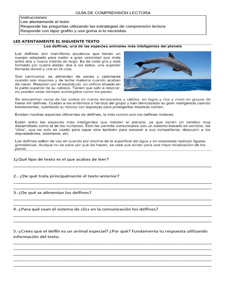 Comprensión Lectora Texto Informativo | PDF | Crecimiento personal y ...