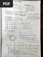 Complete Anatomy Handwritten Notes | PDF
